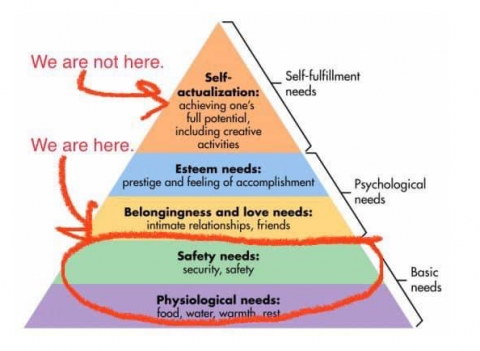 Family Support - North Curry Primary School